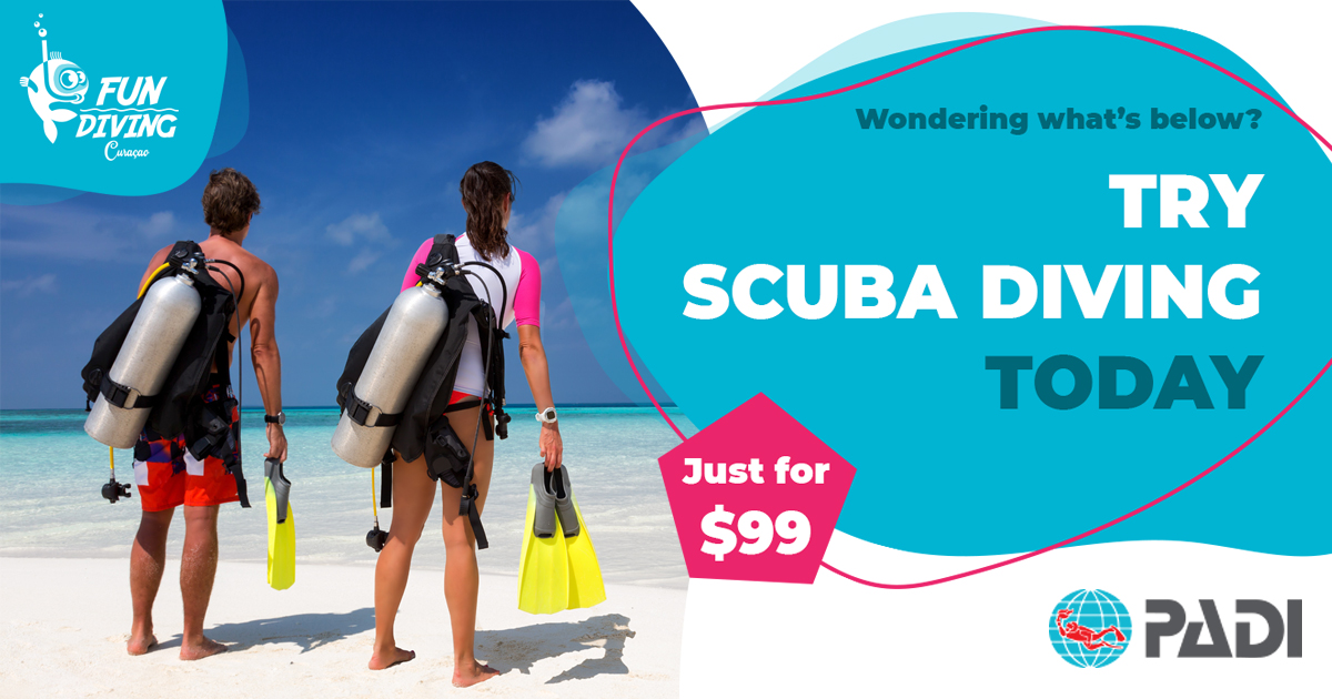 PADI Open Water Diver Course Curacao, PADI OWD, Fundiving Curacao